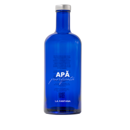 Sticlă albastră pentru apă 750ml, reutilizabilă, cu capac